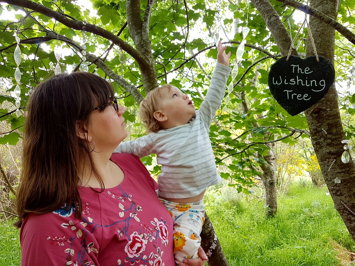 Easter Anguston Farm – Day 3 of #30dayswild – Winter Robin